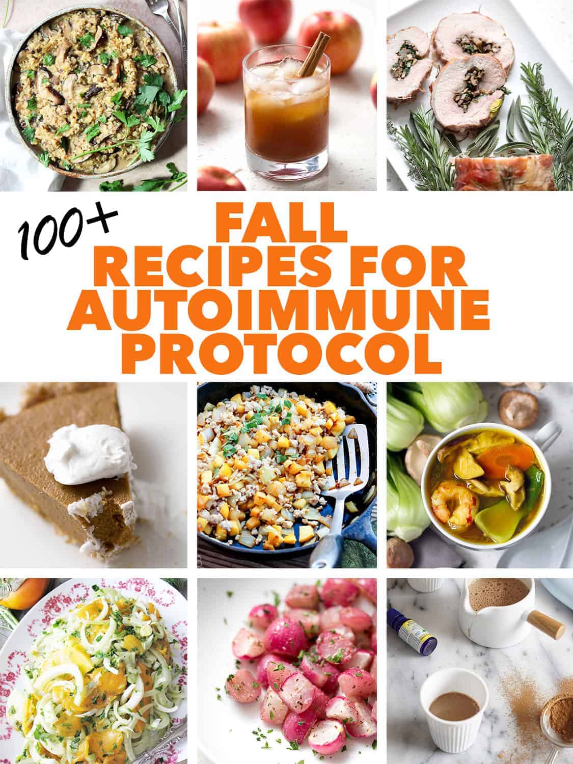 Fall Recipes for Autoimmune Protocol | The Honest Spoonful
