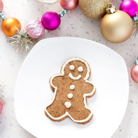 AIP Gingerbread Cookies | The Honest Spoonful