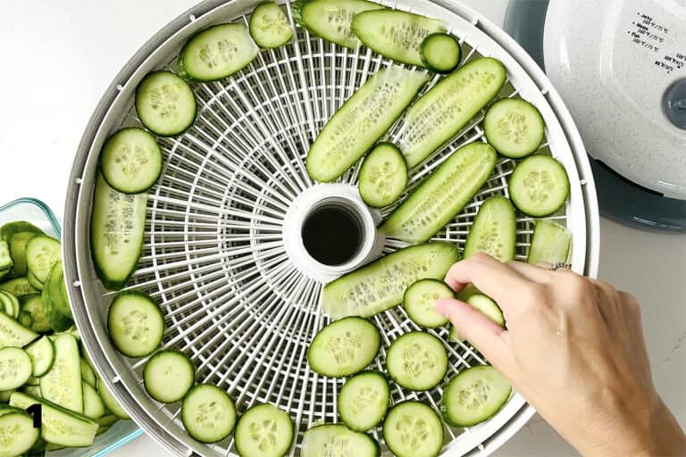 Cucumber Chips (Dehydrator) | The Honest Spoonful